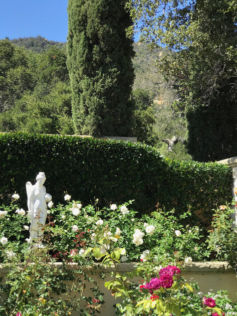 Shop All – Isa Tapia