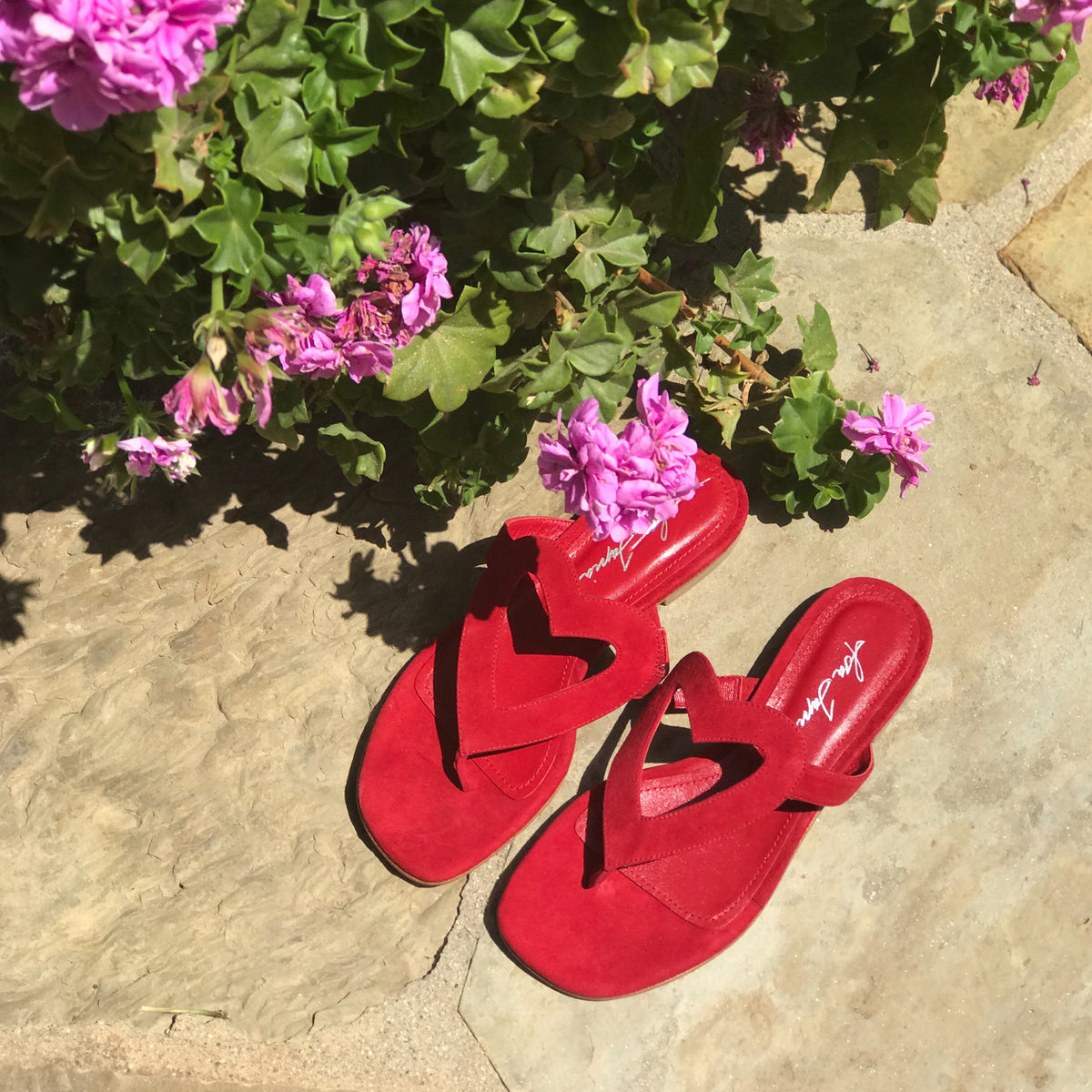 Te Amo Lipstick Red Suede – Isa Tapia